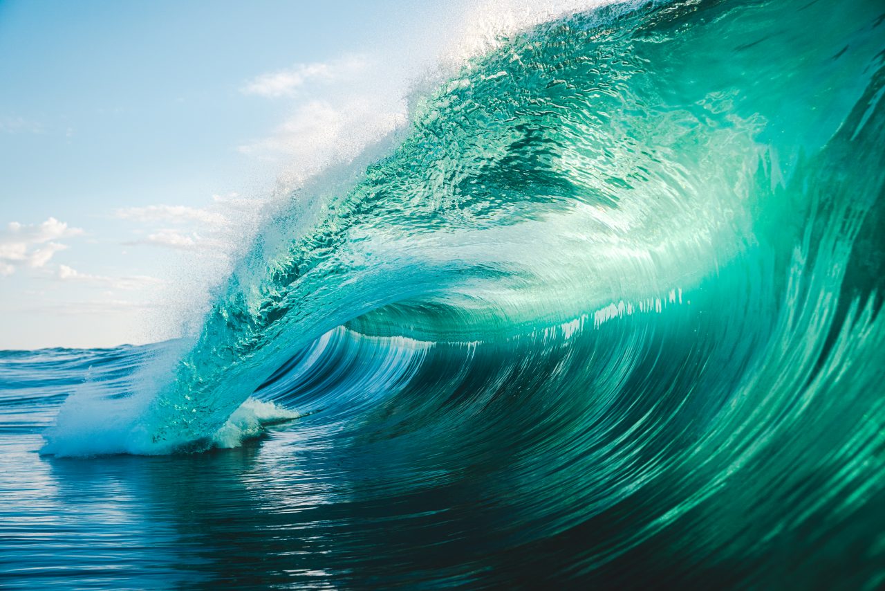 Behind the Lens: Daygin Prescott | Surfing Queensland