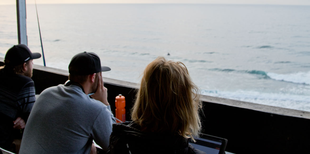 Judging | Surfing Victoria