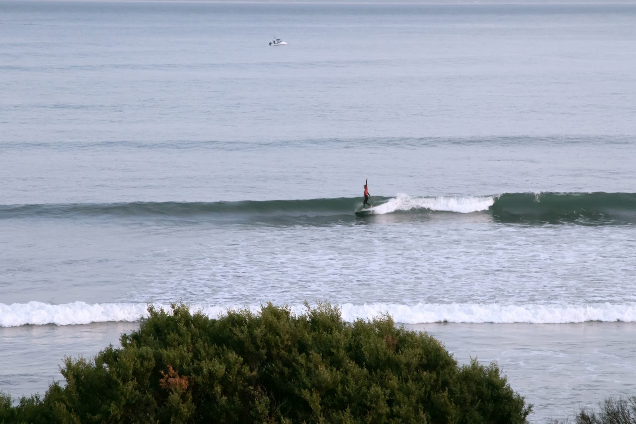 Victorian Longboard Titles set to commence on Phillip Island | Surfing ...